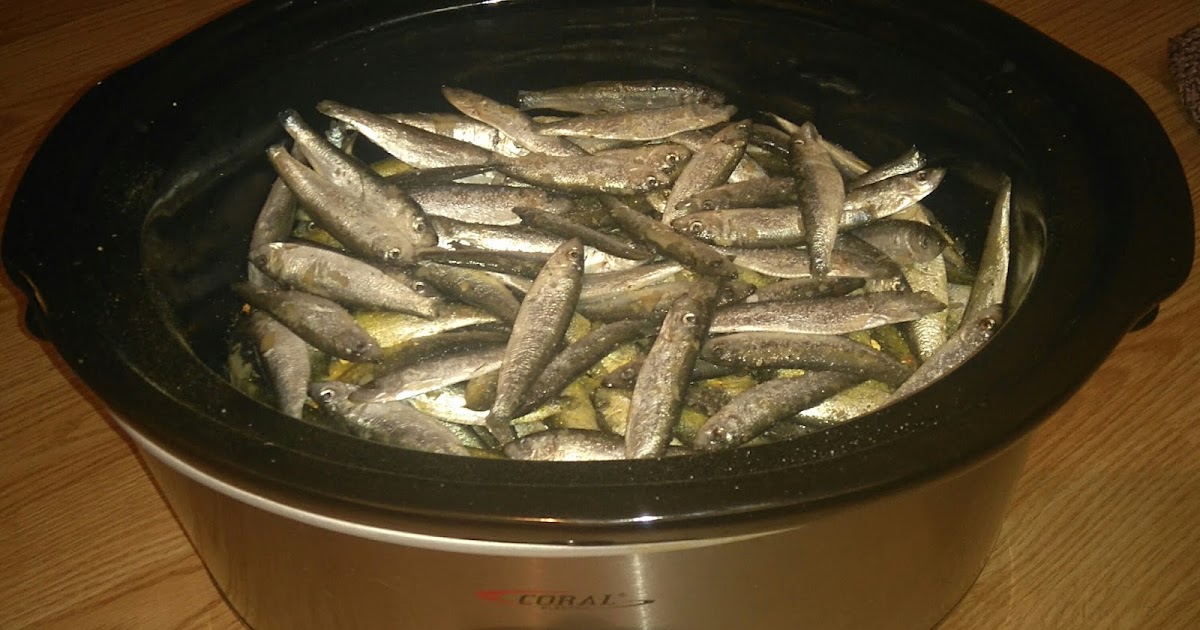 Kuvar pocetnik: Domaća sardina