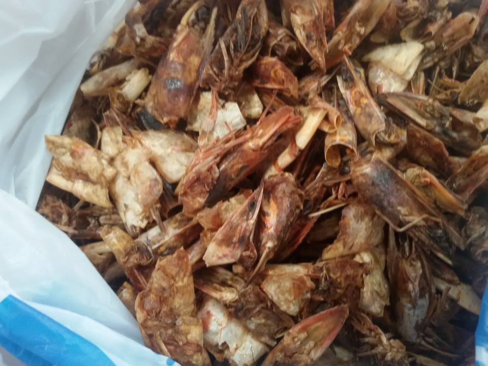 Ampas ampasan Sekali Lagi | Pintar Beternak Bebek