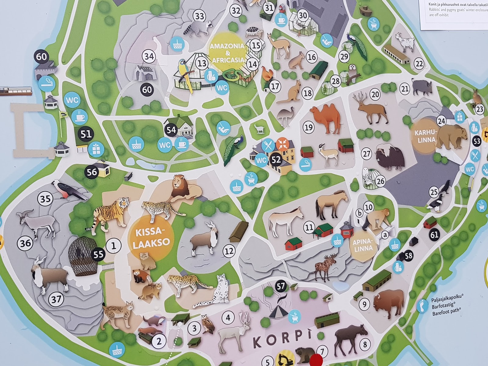 Happylobster: Talvinen Korkeasaari