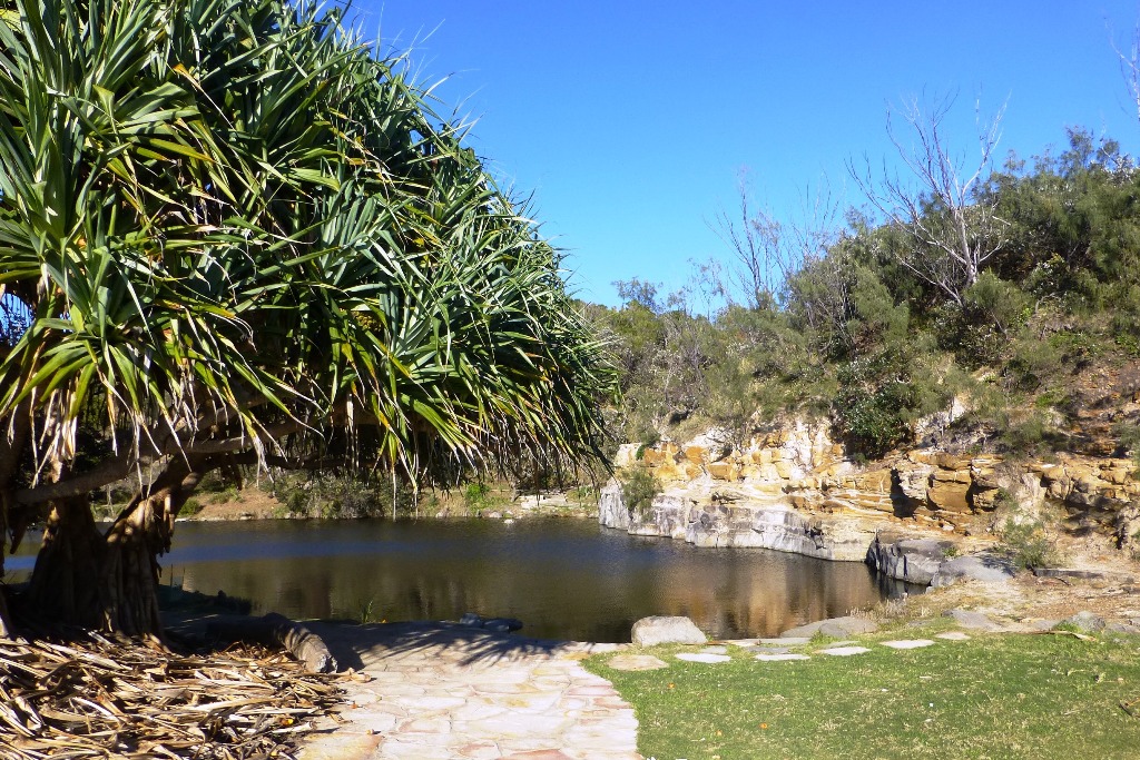 National Park Odyssey: Angourie and Yuraygir National Park, NSW.