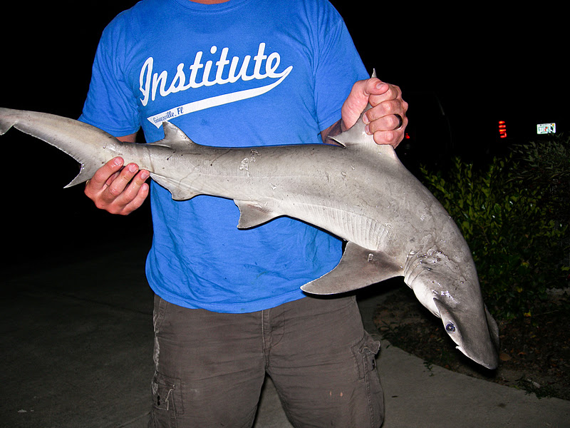 the adventures of US: Blake and his Shark