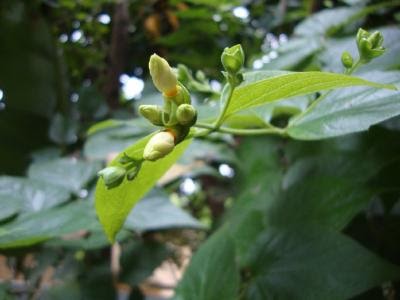 We love Our Bangladesh: May 2011