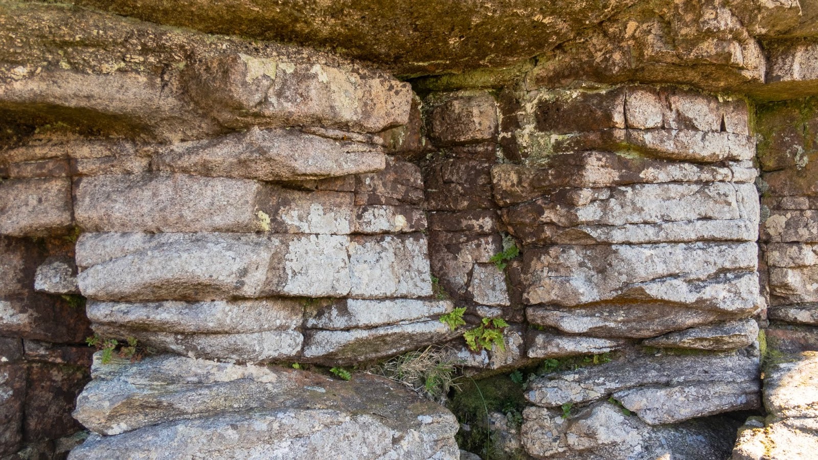 Tor Bagger: Dartmoor Tors & Rocks Map
