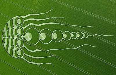 Boddhi portal: 10 of The Best Crop Circles Ever