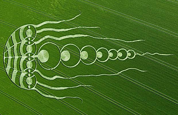Boddhi portal: 10 of The Best Crop Circles Ever