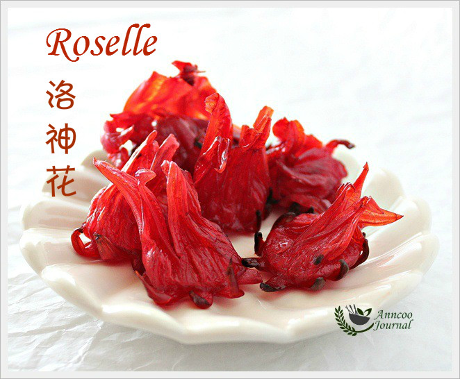 Roselle Cupcakes 洛神花杯子蛋糕 - Anncoo Journal