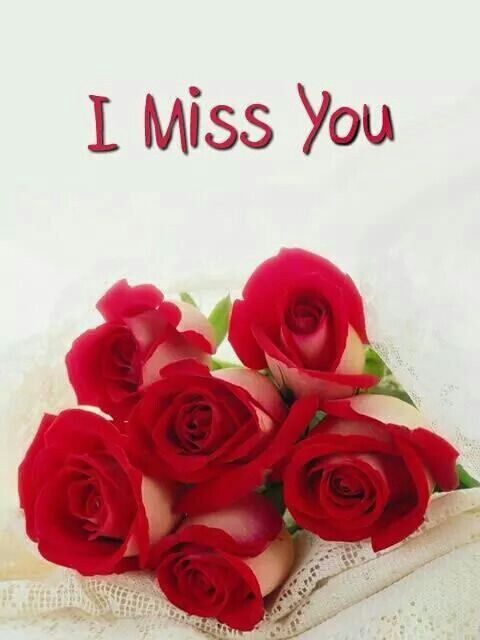 mphoto-cover: i miss you rose hd wallpaper