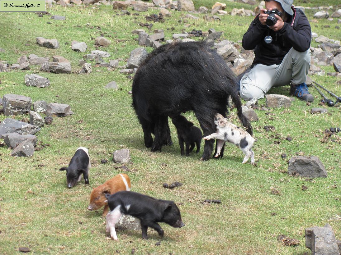 Andaray: Parte IX: Vuelta al Alpamayo