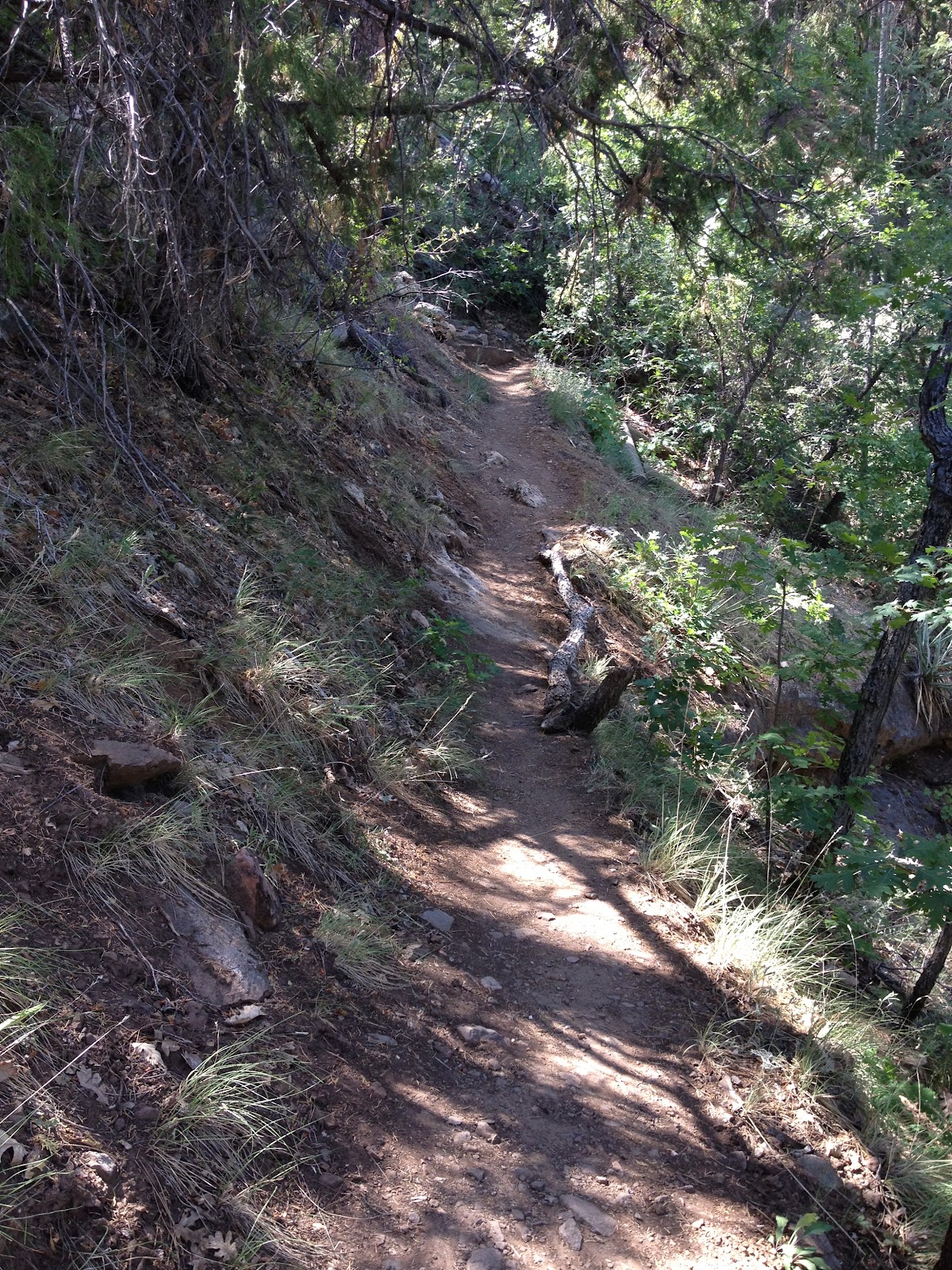 50 Hikes for My 50th!: Hike #39 - Harding Springs Trail - Sedona, AZ