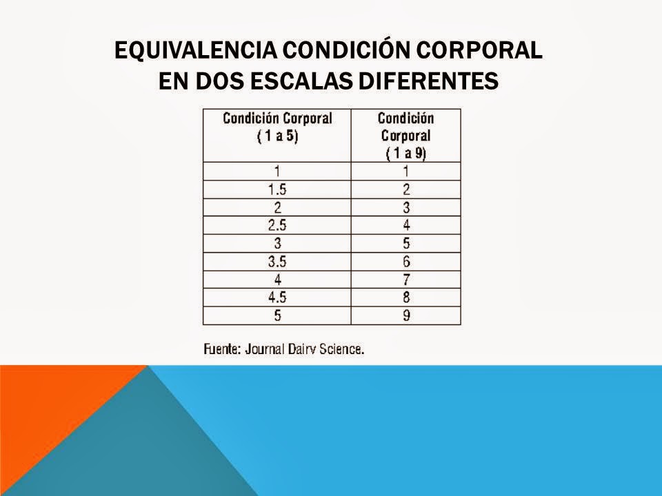 Tuwün Capacitaciones EIRL: CONDICION CORPORAL