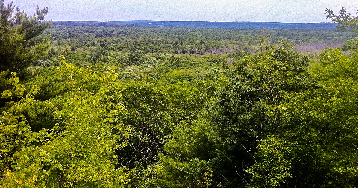 Connecticut Explorer: Nehantic Blue Blazed Trail