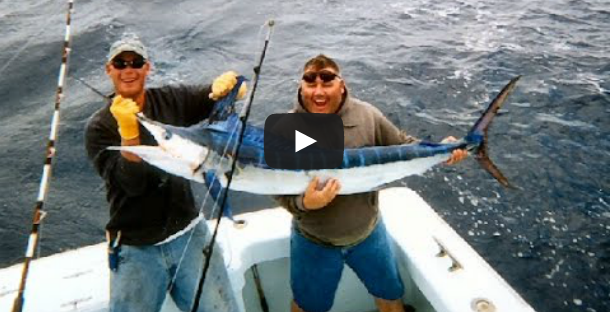 How To Fishing: Casting on a Sleeping Marlin in Cabo San Lucas
