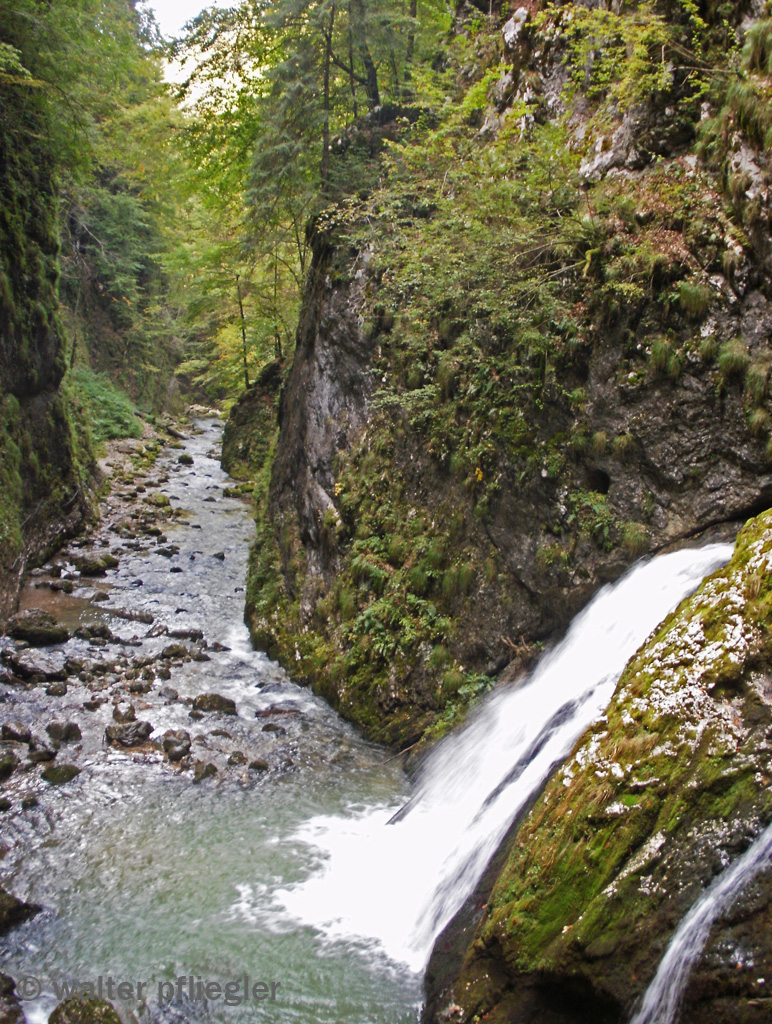 Nature photos from an Amateur Naturalist: Bihor Mountains, Romania ...