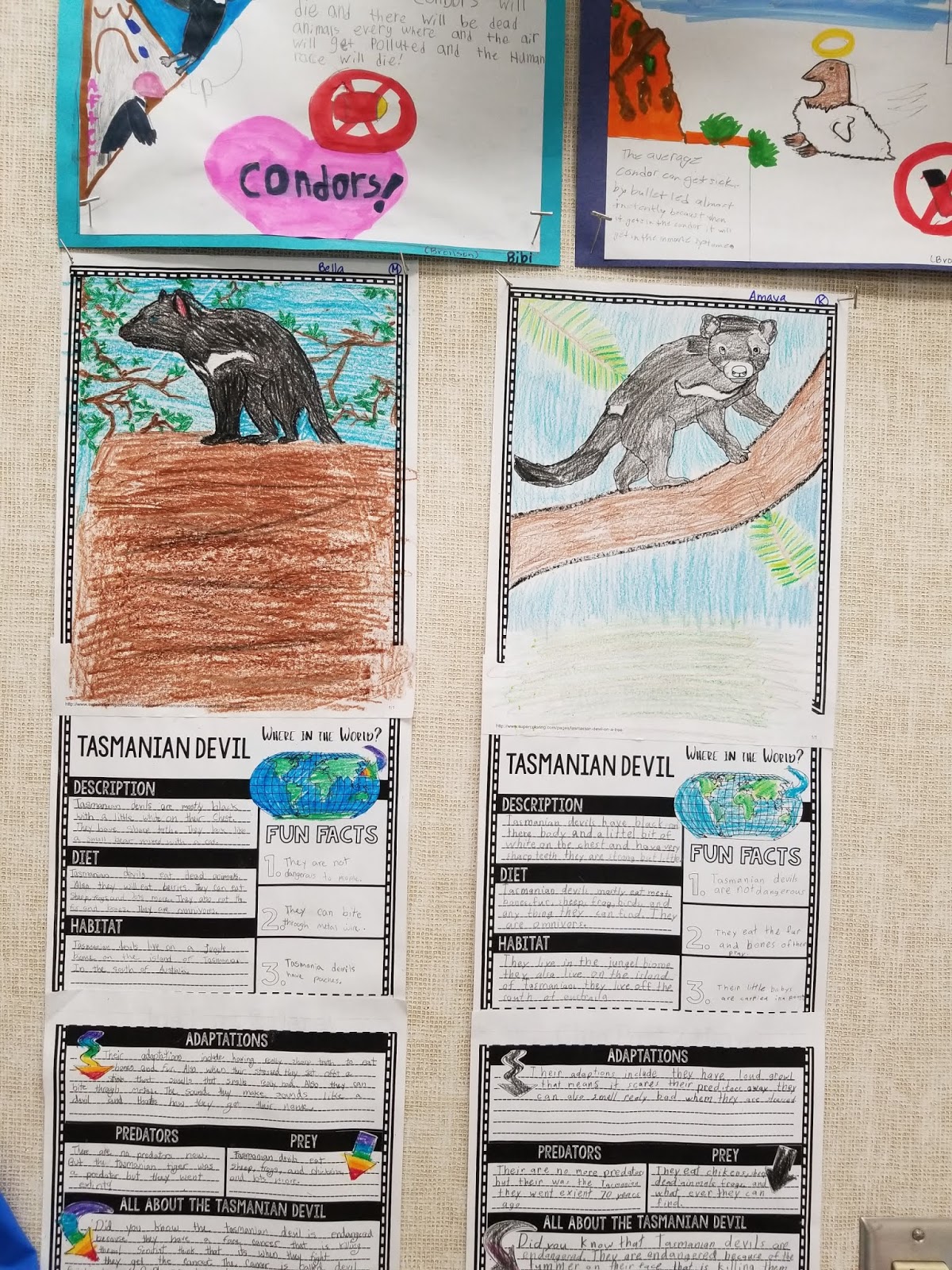 Conservation Projects & Endangered Animals | Polka Dots and Protons ...