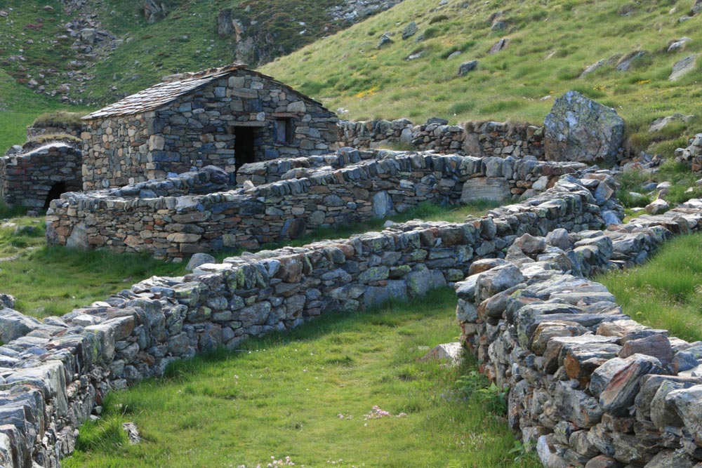 El vocabulari de la natura: ORRI