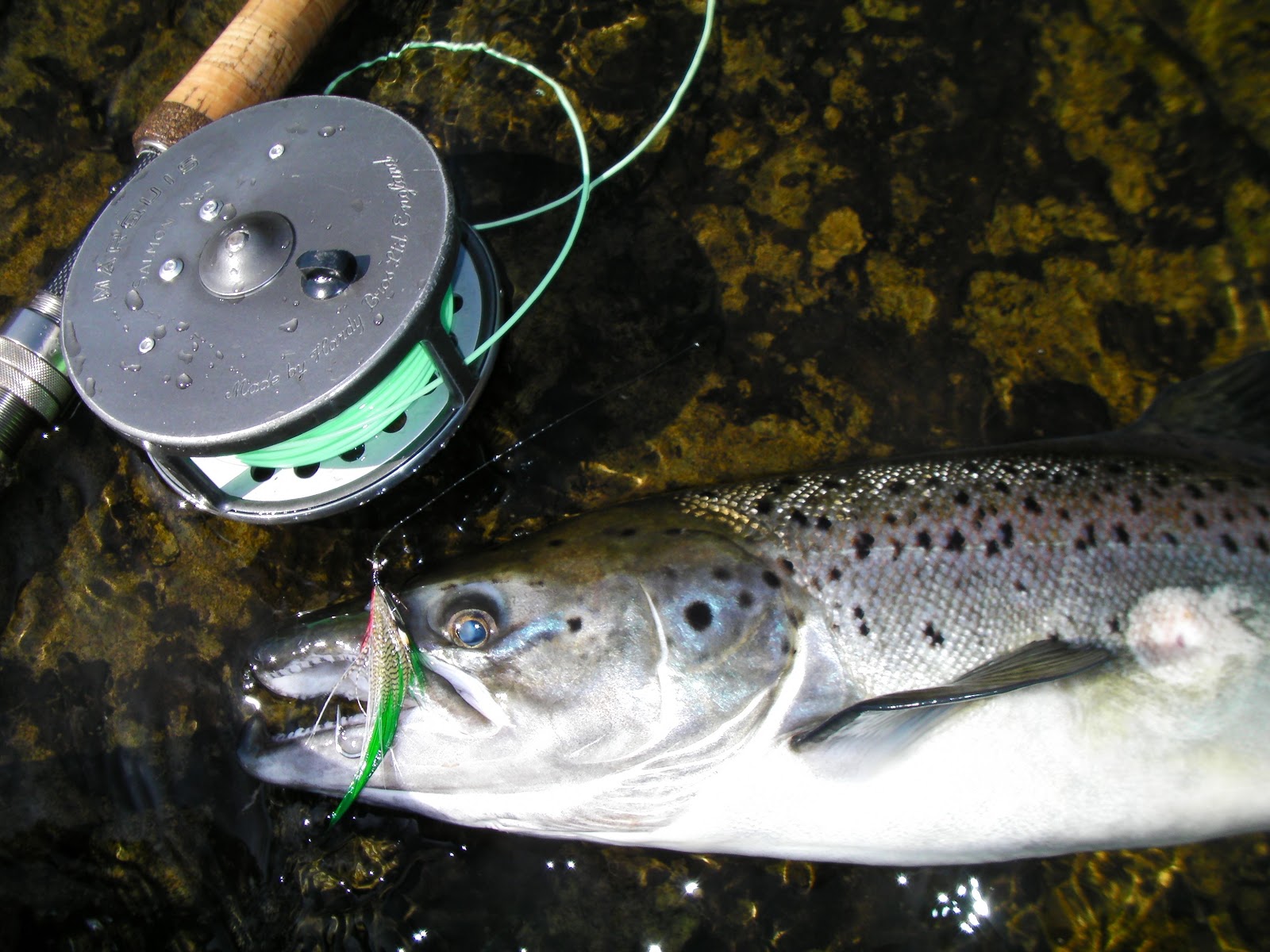 Landlocked Atlantic Salmon Flies