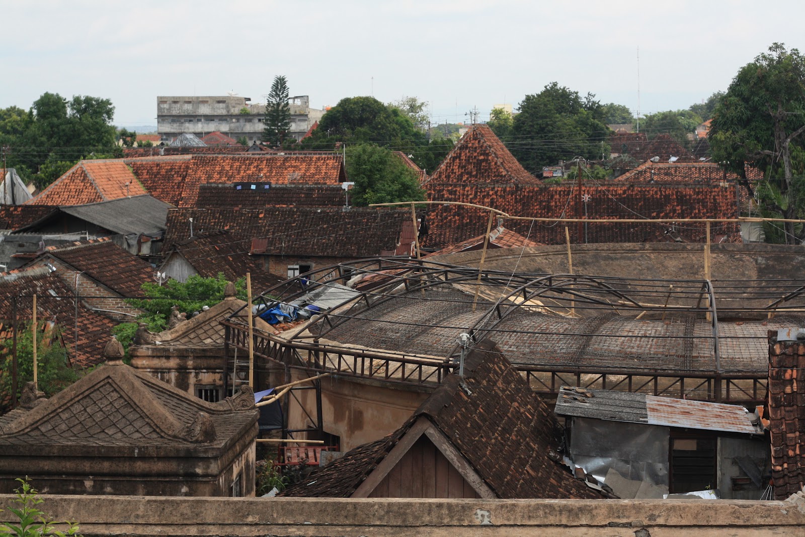 Plankton Photographic Society: Episode 1: Taman Sari, Pulau Cemeti ...