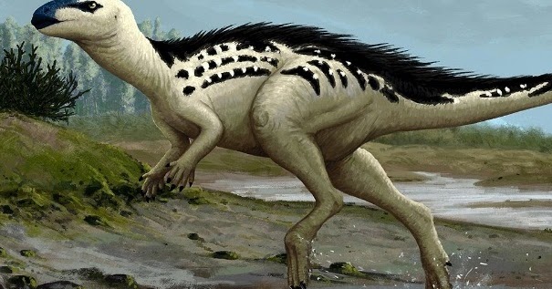 Species New to Science: [Paleontology • 2017] Burianosaurus augustai ...