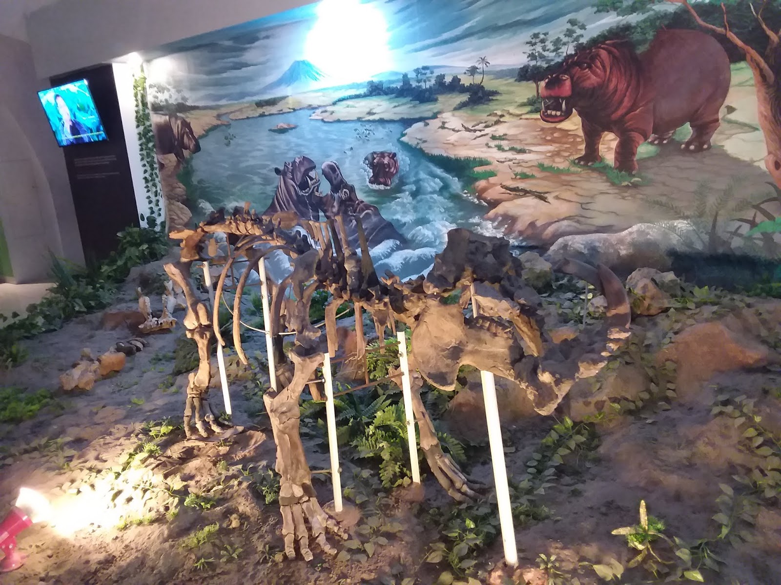 Sangiran Museum the World Heritage Site