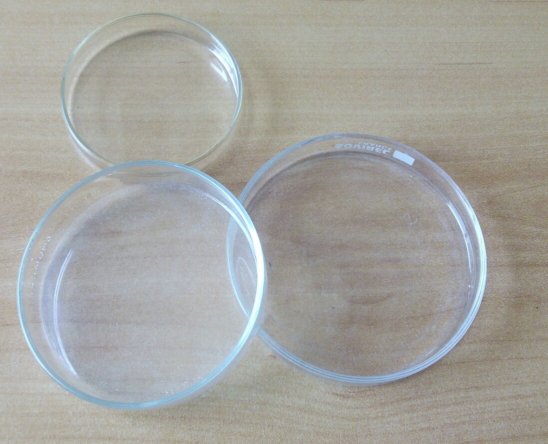 Aparatos técnicos e instrumentación: PLACA DE PETRI