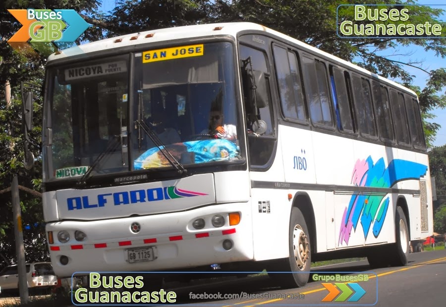 Buses Guanacaste: Buses Guanacaste: Andare / Andare Class