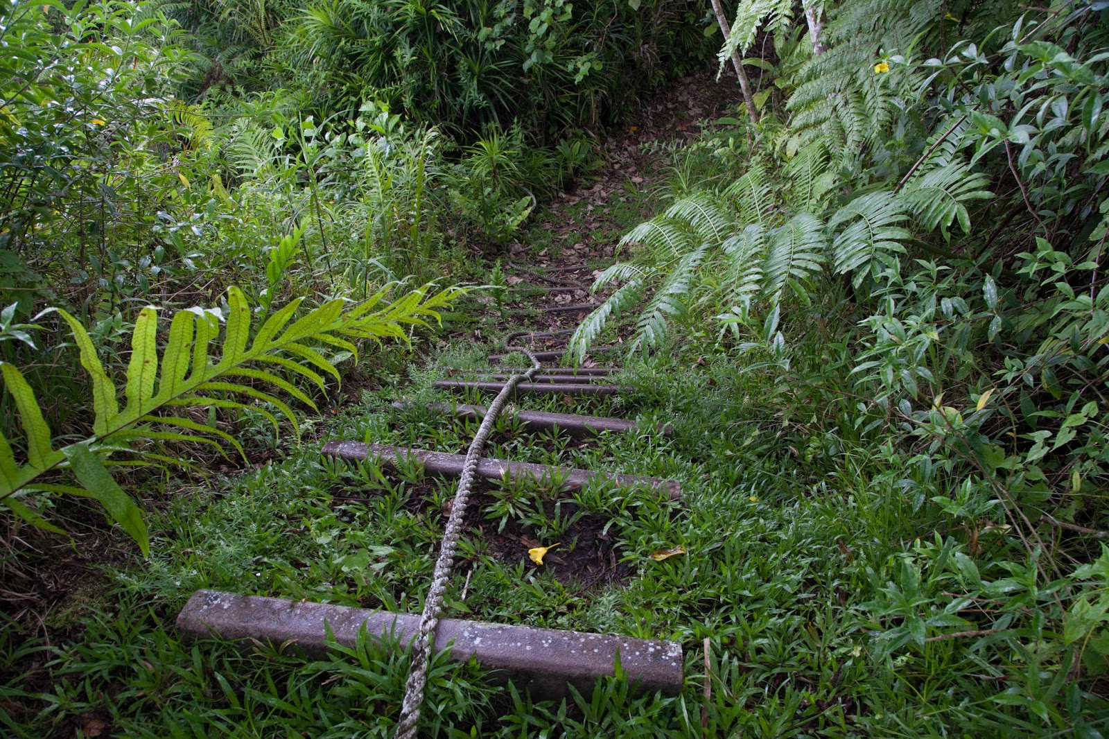 Binkelian Trek Trax: NP#59 - American Samoa