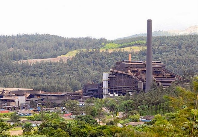 Falcondo informa fue certificada por décimo quinto año consecutivo por ...