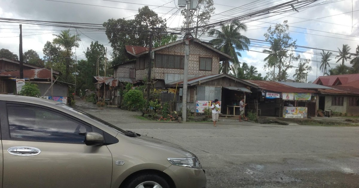 Davao Home Provider: For Sale 1,000 sq.m. Commercial Lot in Apokon ...