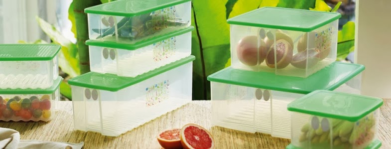 Tupperware Equipe MASTER - Goiânia GO: Lançamento Vitrine 12/13: Linha ...