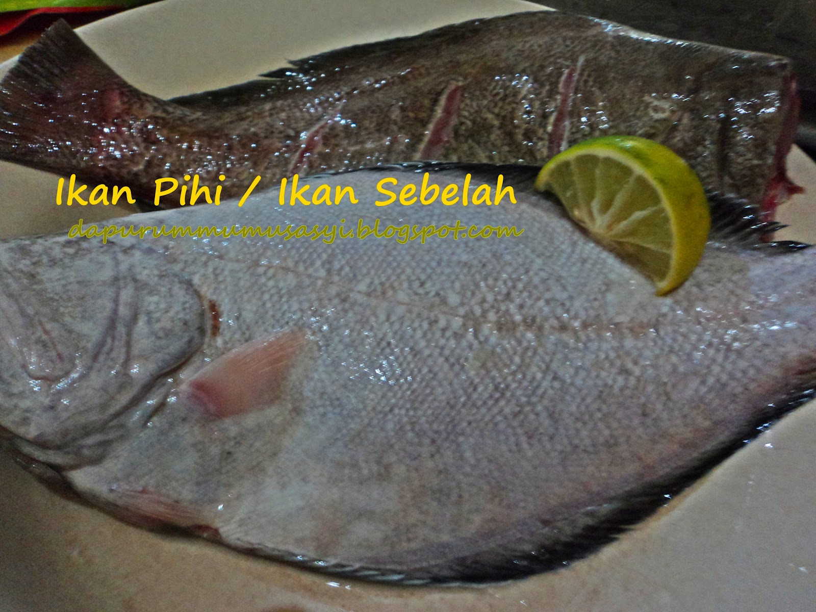 Cozy Kitchen : Ikan Pihi / Ikan Sebelah