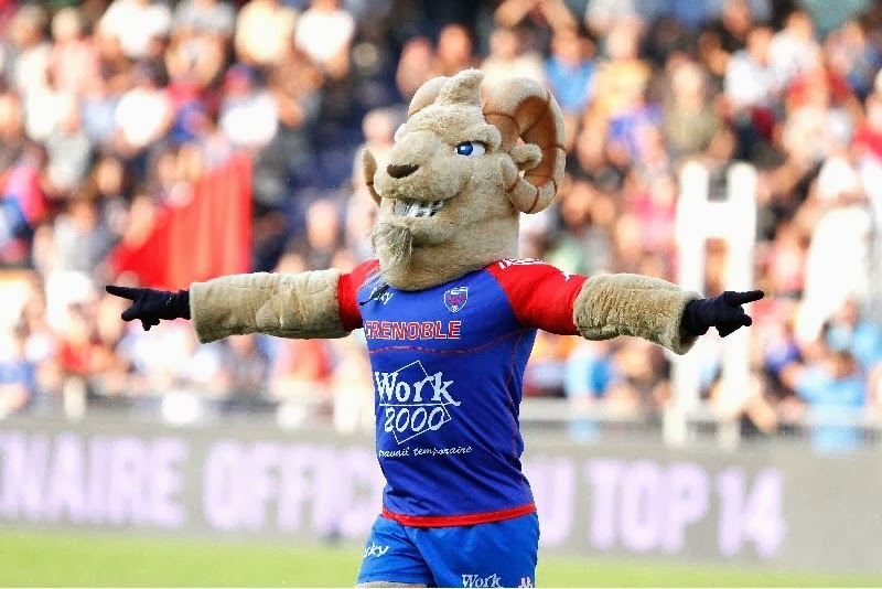 Hell of a Sport: Entretien exclusif : Buky, mascotte du FC Grenoble Rugby