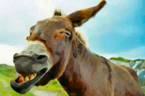 *: LA STRATEGIA DELL'ASINO-Bruno Ferrero