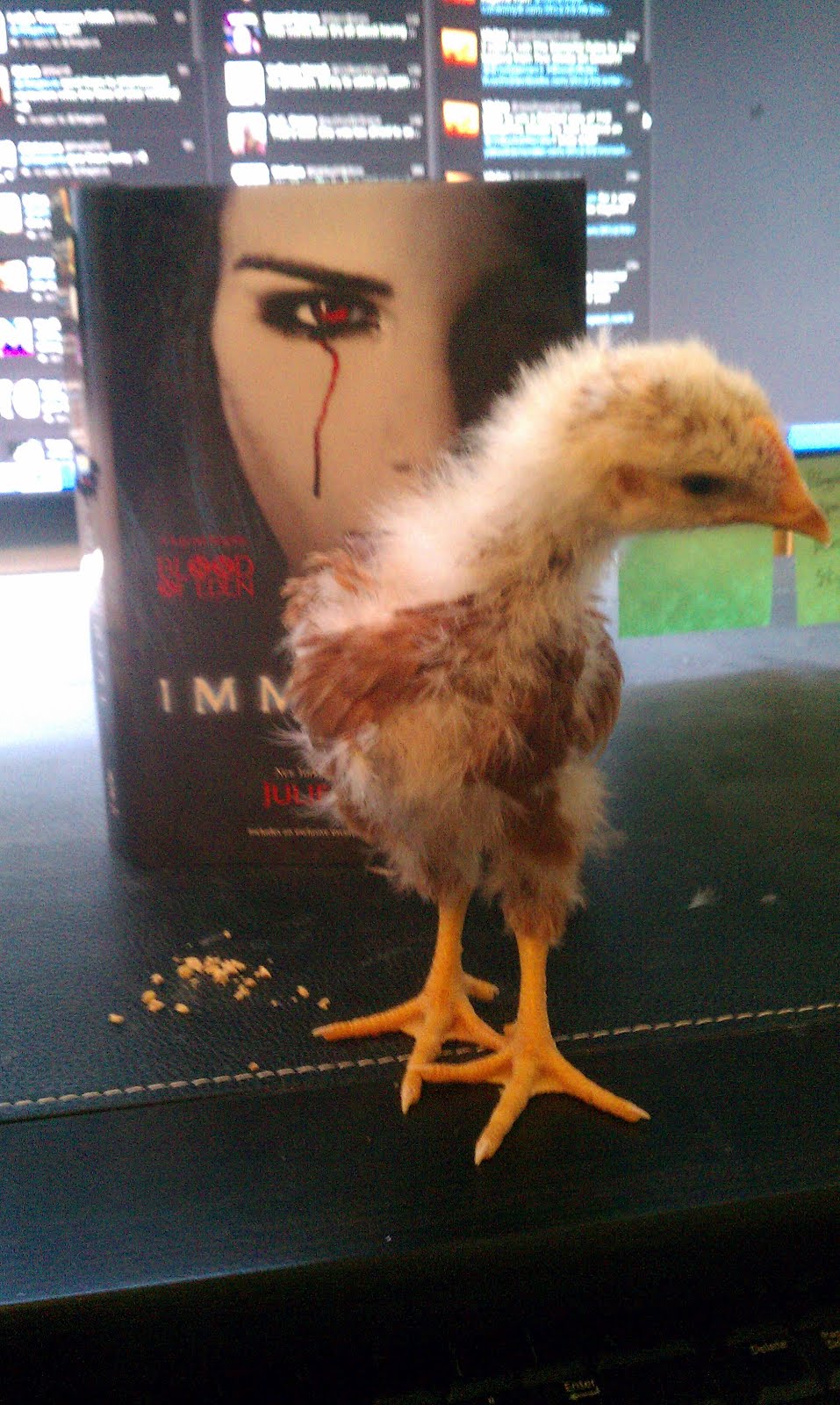 NYT Bestselling author Julie Kagawa: The Immortal Rules contest ...