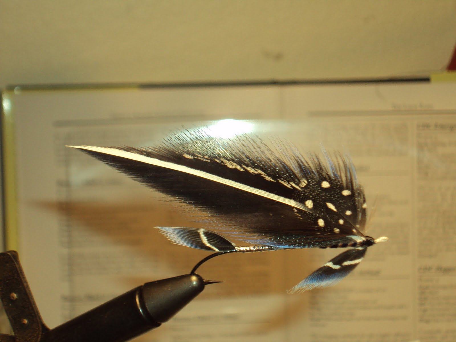 Exploring Classic Streamer Patterns