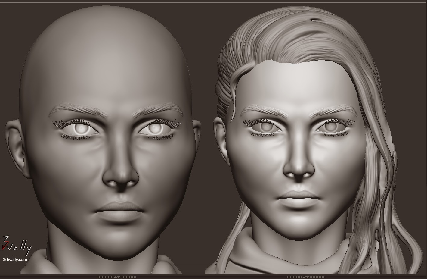 3Dwally: Female head study