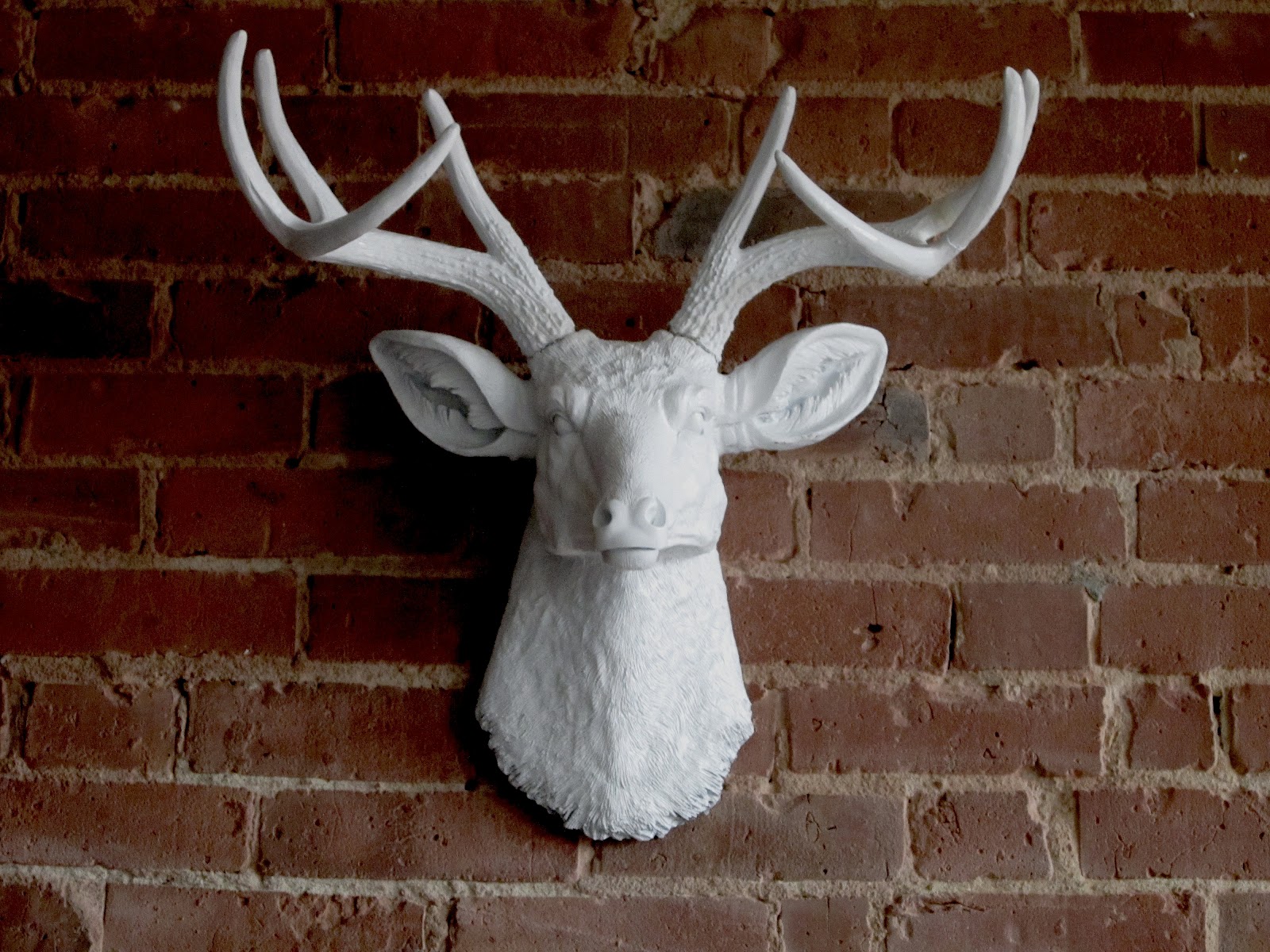 Decorous Domus: DIY Faux Stag Mount