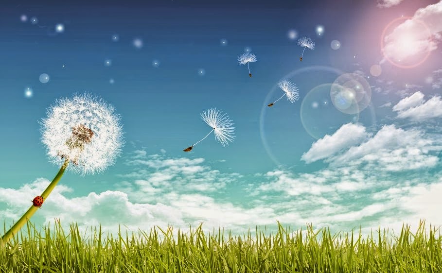 Jenis-jenis angin - Go Go Belajar