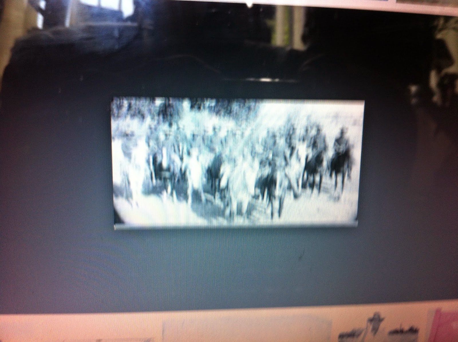 THE BLACK SOCIAL HISTORY:: BLACK SOCIAL HISTORY : BLACK SEMINOLES AND ...