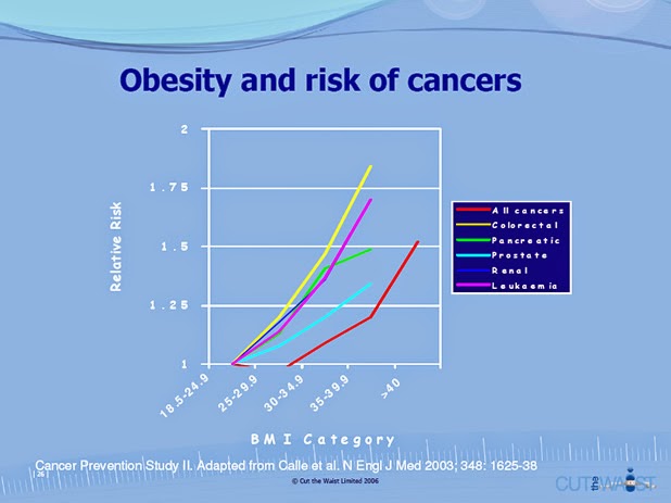 Obesity Can Lead To Cancer Risk ~ Healthy Living Tips
