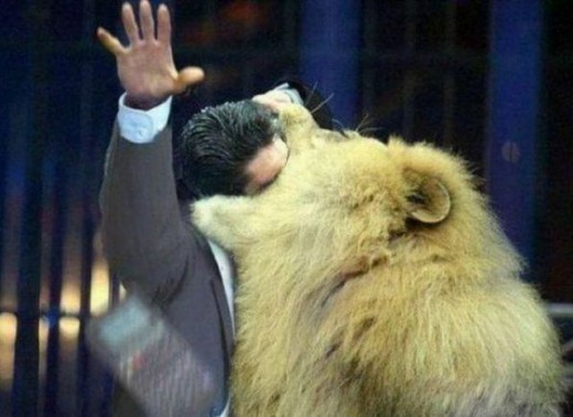 funny wallpapers-hd wallpapers-Desktop wallpapers: really funny stuff