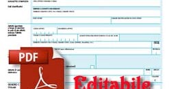 Modello AA9/12 editabile compilabile per partita IVA