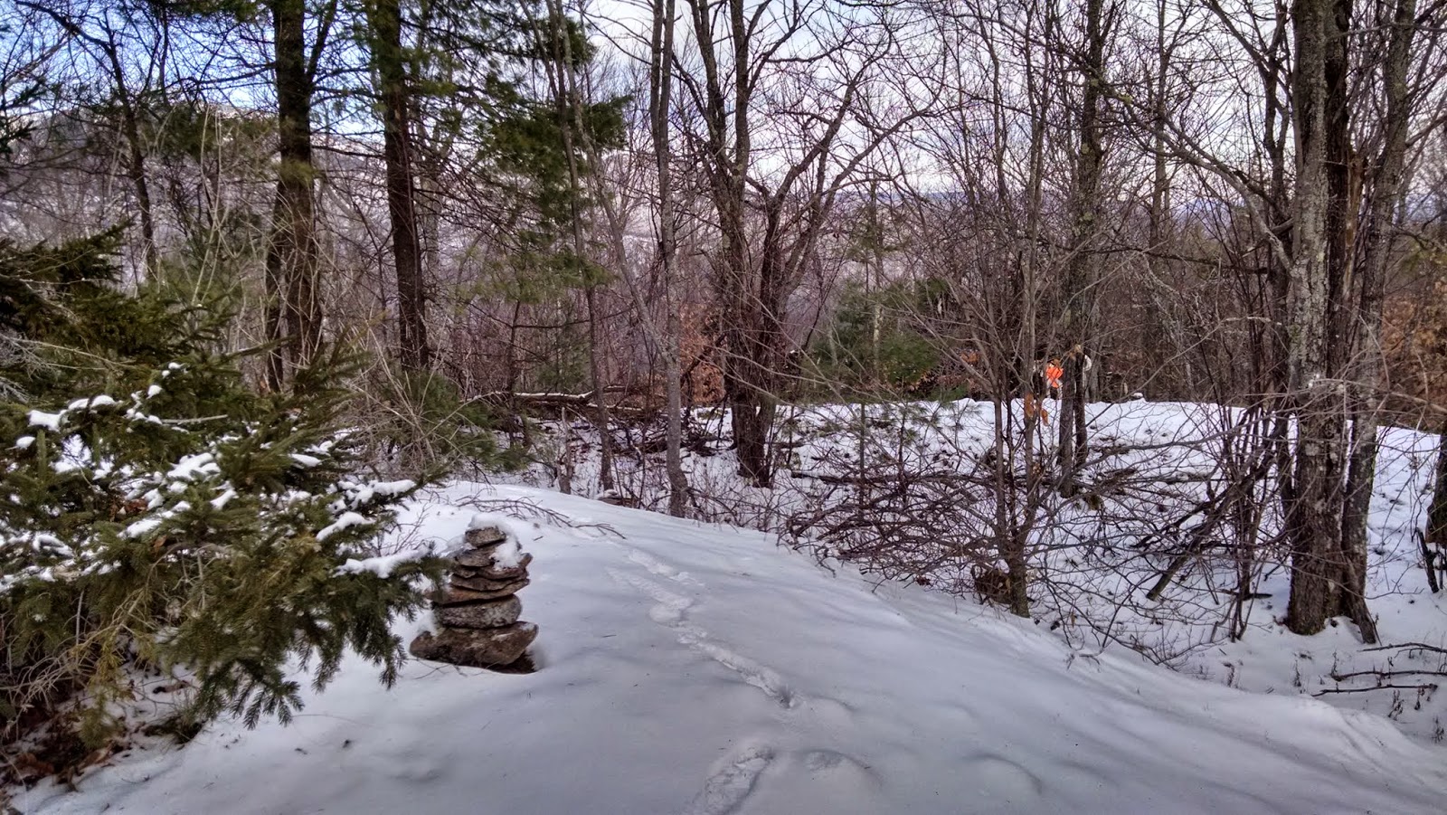 Off on Adventure: Split Rock Mountain - Hammond Pond Wild Forest - 11/22/14