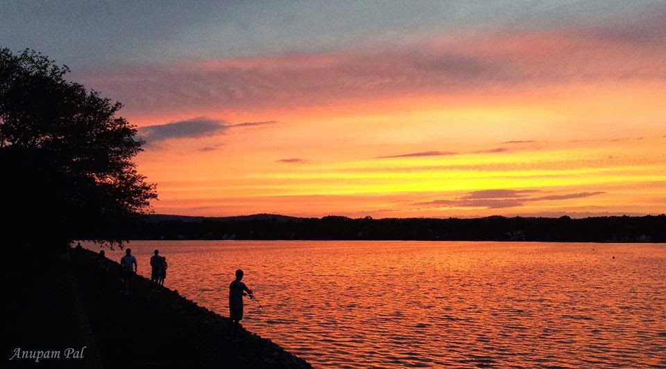 NACHER WALLPAPERS | Goods Wallpaper