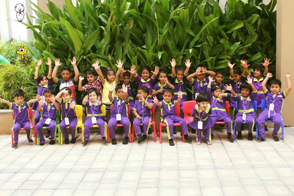 Brainystars International School