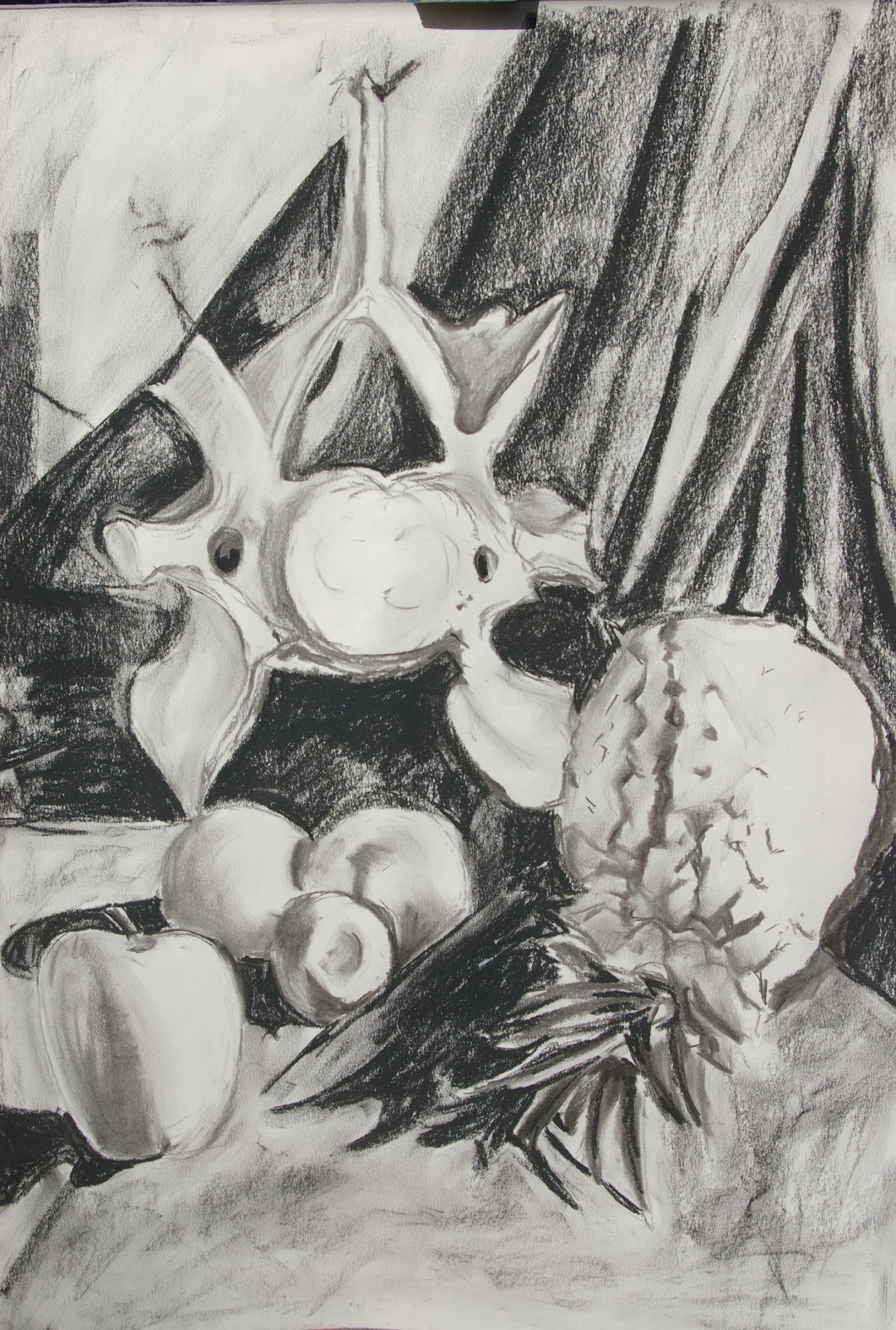 Aylish's OCA Learning Log: Assignment One: First Drawing - Natural Forms