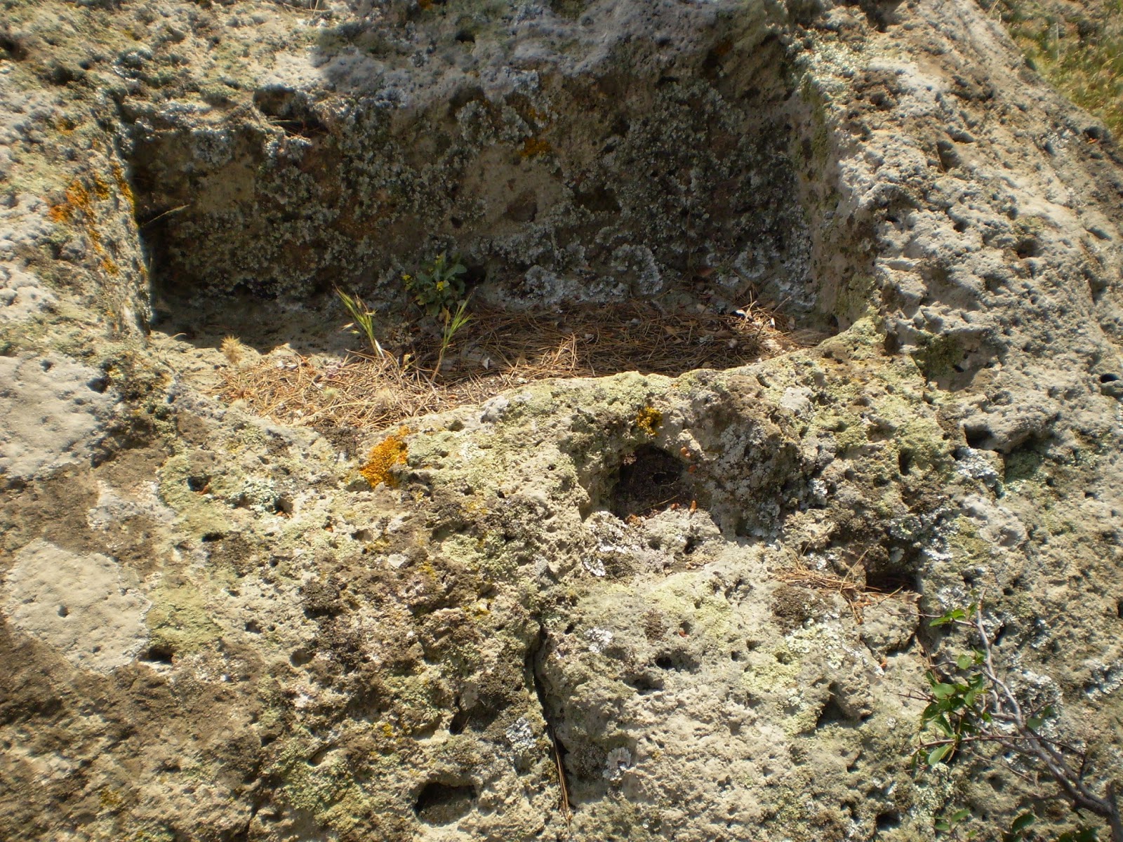 ΣΥΝΔΕΣΜΟΣ ΑΠΟΣΤΡΑΤΩΝ ΣΩΜΑΤΩΝ ΑΣΦΑΛΕΙΑΣ Ν.ΡΟΔΟΠΗΣ "Η ΑΓΙΑ ΕΙΡΗΝΗ ...