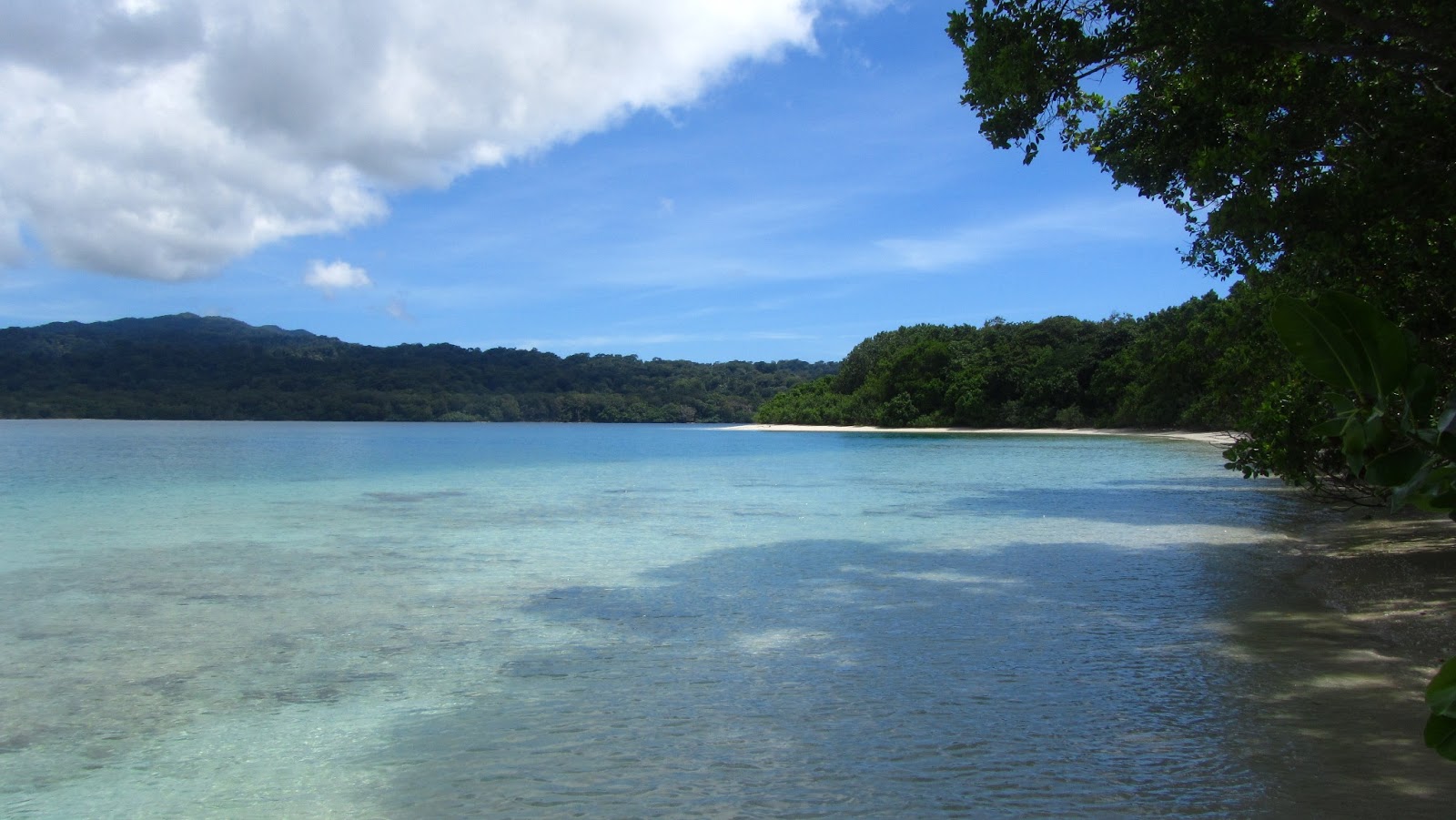 An Irishman in Java: Run Through the Jungle: A weekend on Pulau Peucang ...