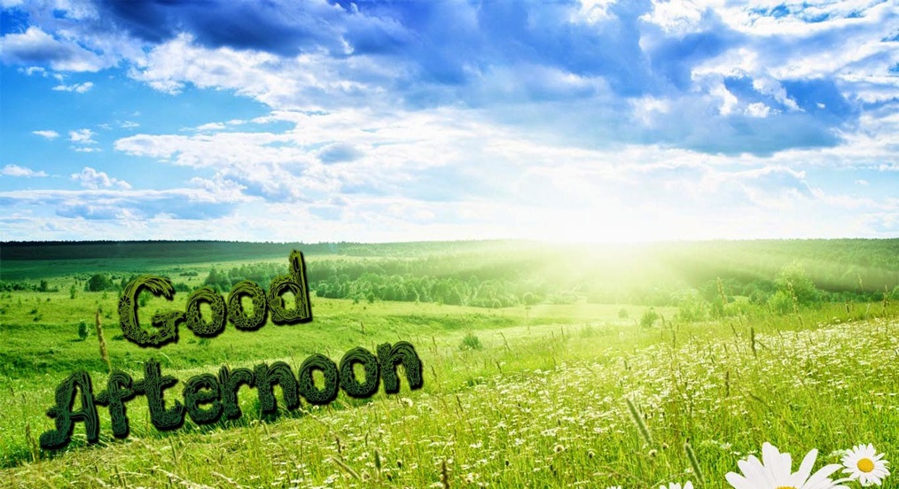 Good Afternoon Wallpapers - Mass Wallpapers Other