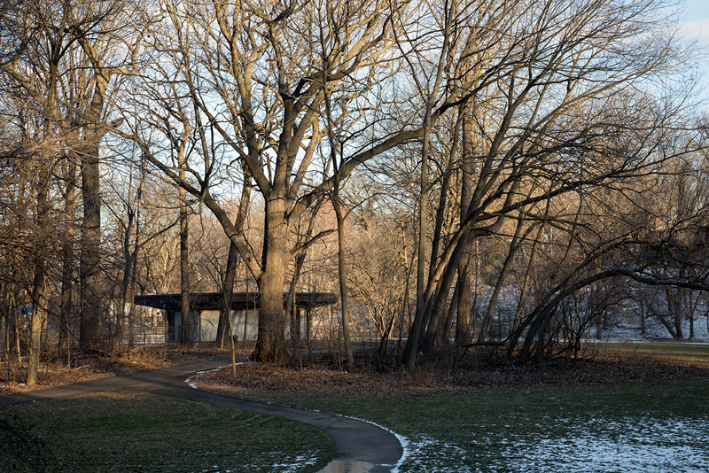 Urban Wilderness: Photo essay: A rare winter day in Jacobus Park