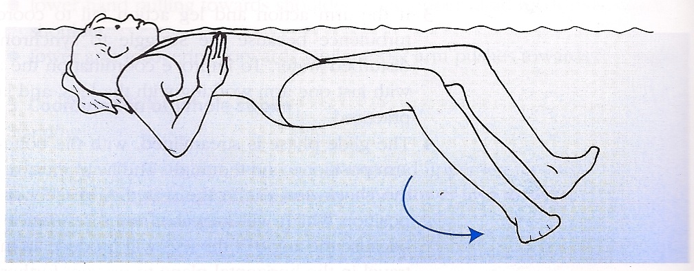 Swimming Teaching: Survival Backstroke Technique Full Description And ...